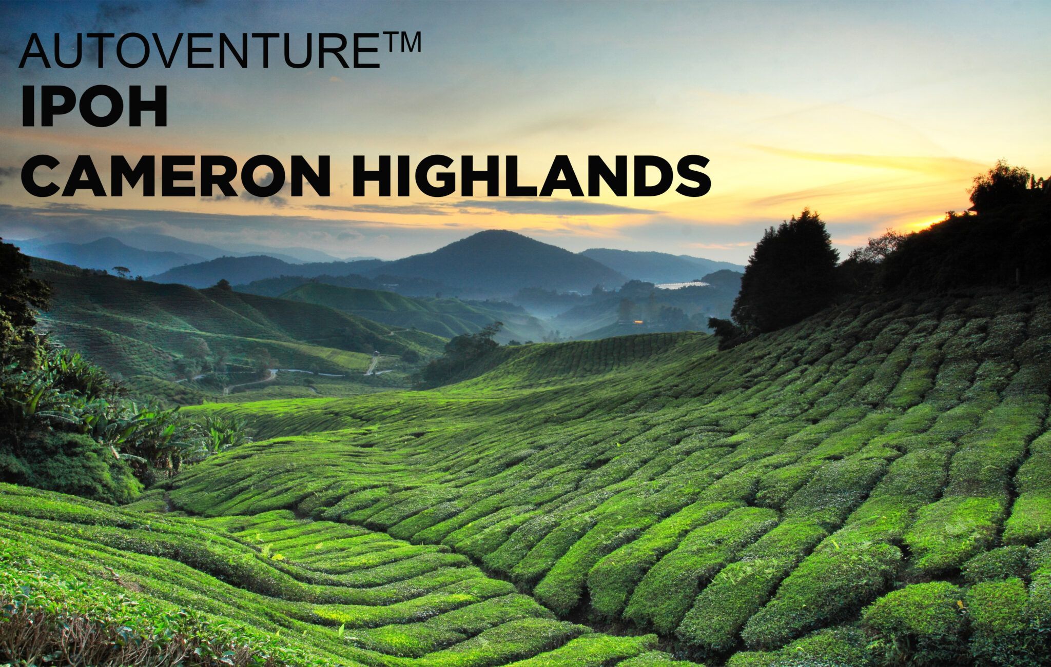 Autoventure to Ipoh & Cameron Highlands - Automobile Association Of ...