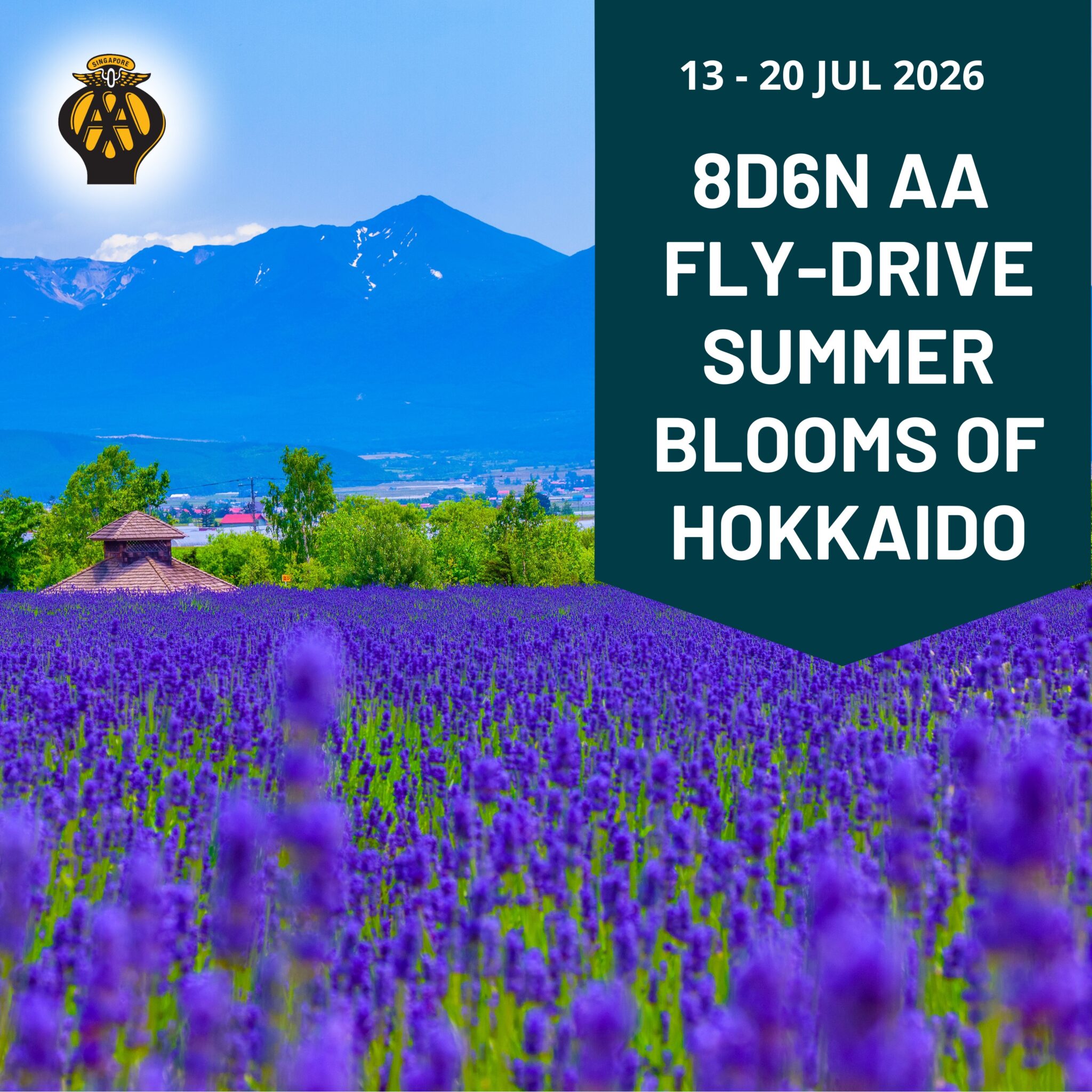 8D6N AA Fly-Drive Summer Colours of Hokkaido (Furano, Abashiri, Lake ...